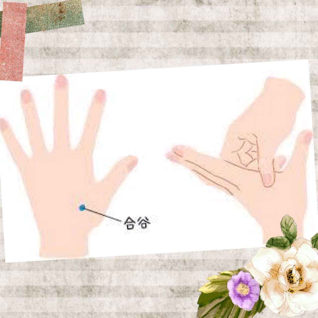 SunLuce 自分で出来るツボ押し