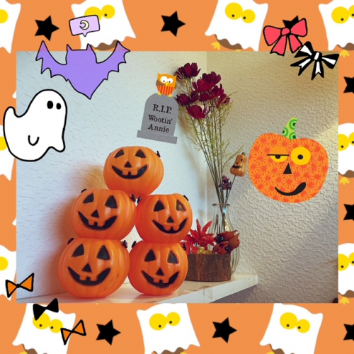 SunLuce ～11月のお休み～